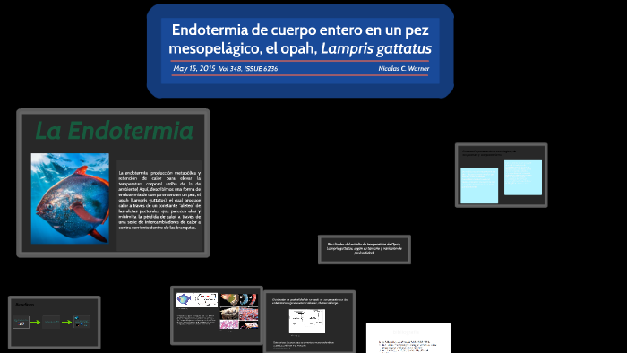 Endotermia de cuerpo entero by Celeste Maria Lopez on Prezi