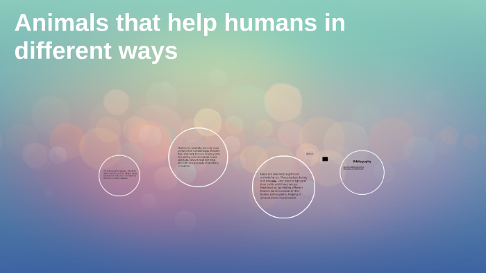 Animals that help humans in different ways by Mariana Maia on Prezi