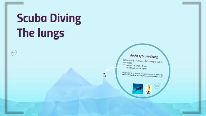 Scuba Diving #The lungs by Jacob Dahl on Prezi