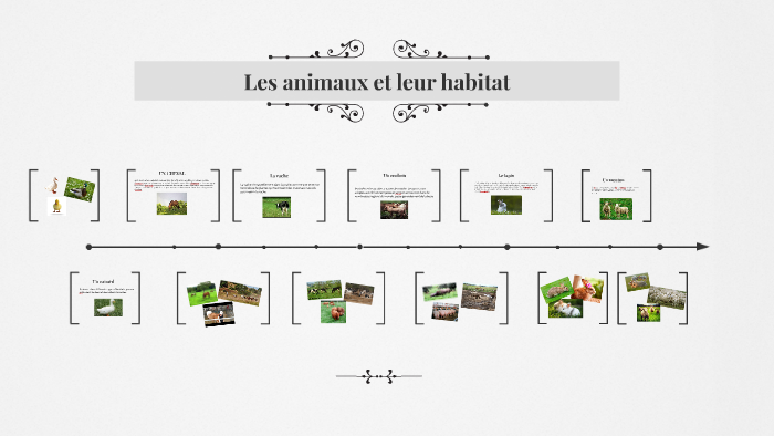 les animaux et leur habitat by Rose Ordoñez on Prezi