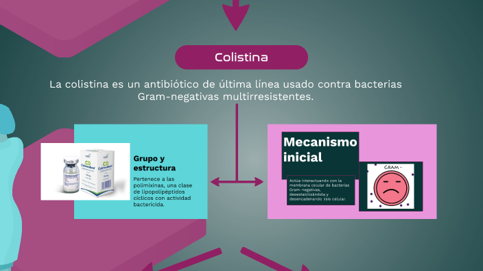 Colistina by CYNTHIA GUADALUPE DELGADO RENTERIA on Prezi
