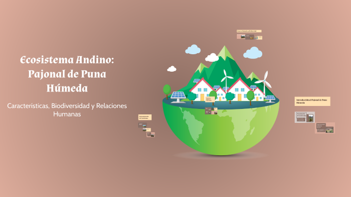 Ecosistema Andino: Pajonal de Puna Húmeda by Dayana Leiva Arroyo on Prezi