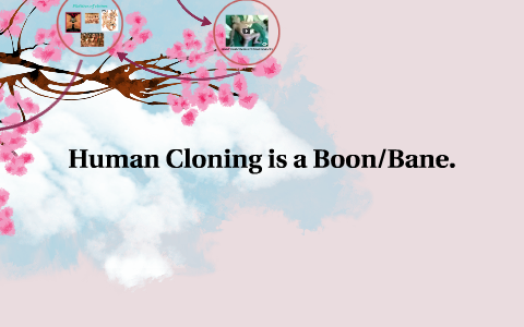 Human cloning is a boon/bane. by Ilene Cavazos on Prezi