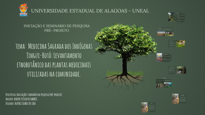 Medicina Sagrada dos Indígenas Tingui-Botó by Beatriz Lira on Prezi