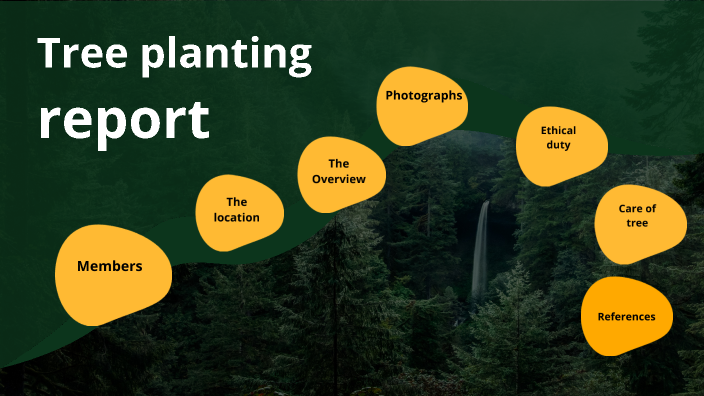 tree planting report by Shakshi Kumar on Prezi