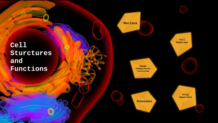 Cell Structures And Functions by Erick Alfaro on Prezi