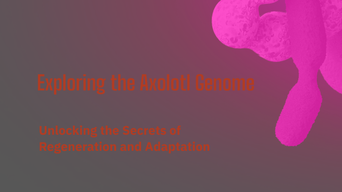 Exploring the Axolotl Genome by Theresa h on Prezi