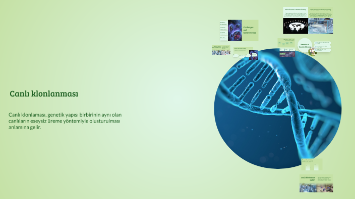 Genetic Cloning: Exploring the Science and Ethics by Naz Anteplioğlu on ...