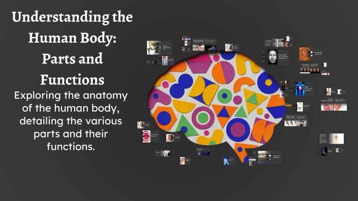 Understanding the Human Body: Parts and Functions by Carolina Díaz on Prezi