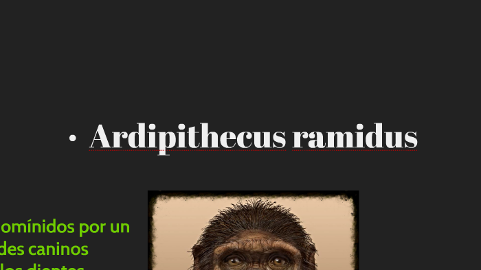 Ardipithecus ramidus by Oscar Ramirez on Prezi