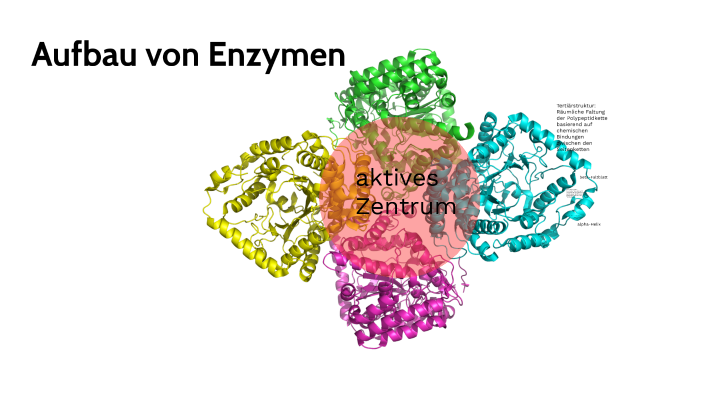 Aufbau von Enzymen by Anna Müller on Prezi