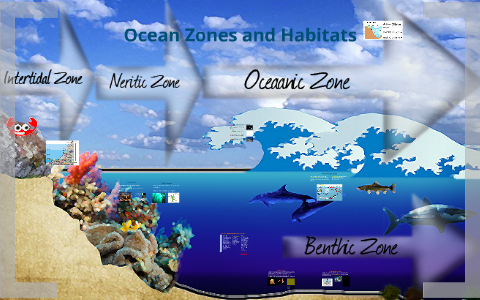 Ocean Zones and Habitats by Michelle Vuncannon on Prezi