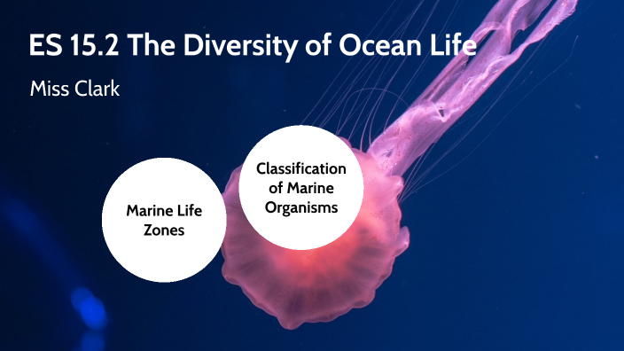 ES 15.2 The Diversity of Ocean Life by Emily Richbourg on Prezi