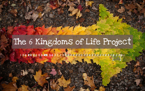 Kingdoms of Life Project by Tann Nguyen on Prezi