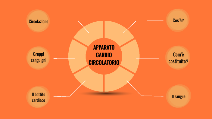 Apparato cardiocircolatorio by Marta Bellavia on Prezi