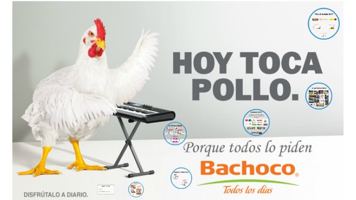 PRESENTACIÓN BACHOCO 2017 by Fausto Borquez on Prezi