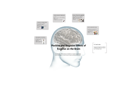 Positive and Negative Affects of Exercise on the Brain by Claire King ...