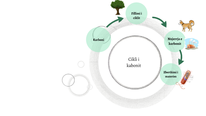 Cikli i karbonit by Leutrim Halimi on Prezi