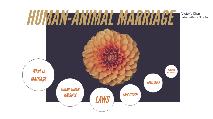 Human-animal marriage by Victoria Chen on Prezi