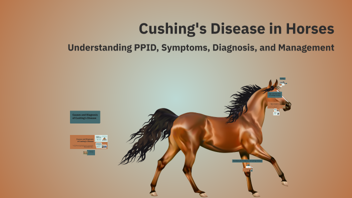 Cushing's Disease in Horses by sue hurford on Prezi