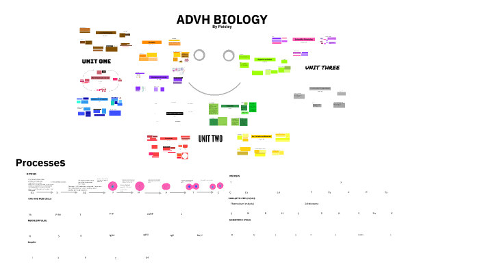 The Entirety of ADVH BIO by Alasdair Paisley on Prezi