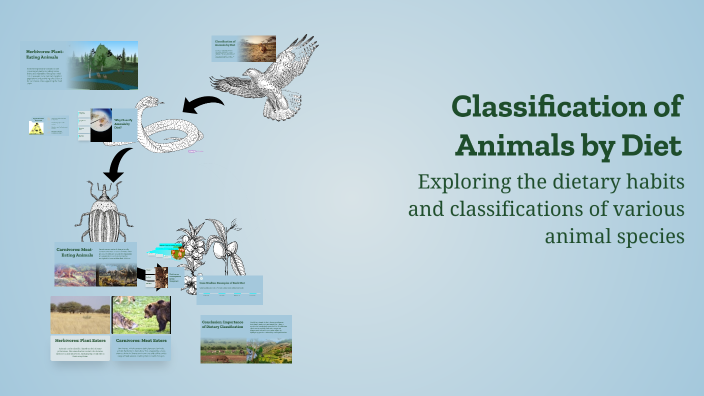 Classification of Animals by Diet by Sherlita Turingan on Prezi