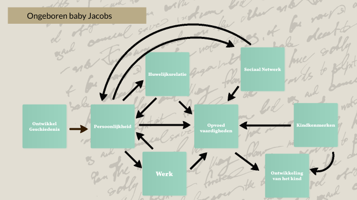 Het Procesmodel van Belsky, ongeboren baby Jacobs by Senna van Dooren ...