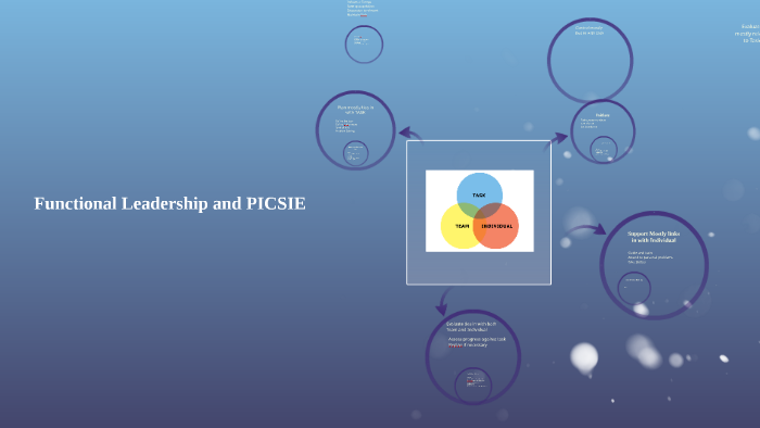 Functional Leadership and PICSIE by Alaister Nurse on Prezi