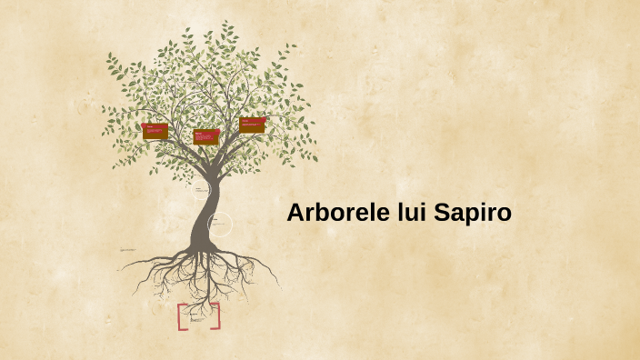 Arborele lui Sapiro by Tudor Dorobat on Prezi