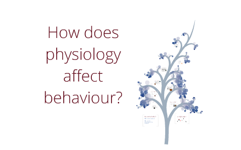 How does Physiology affect behaviour- Acetylcholine by Hayley Reed on Prezi