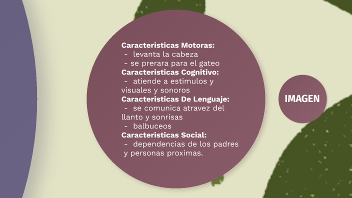 caracteristicas de los parvulos by danissa aguilar on Prezi