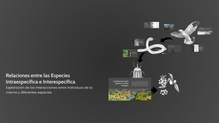 Relaciones entre las Especies Intraespecífica e Interespecífica by ...