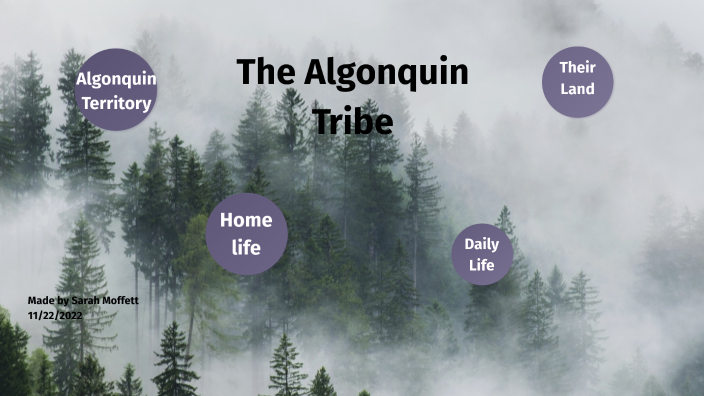 The Algonquin Tribe by sarah Moffett on Prezi