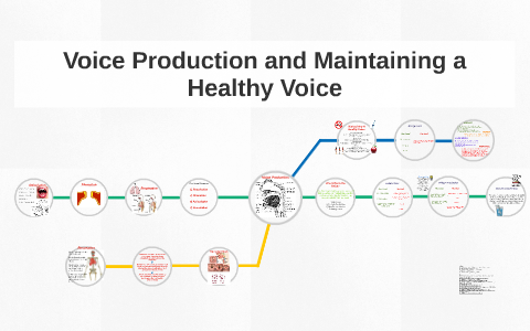 Voice Production and Maintaining a Healthy Voice by Siobhan McAuley on ...