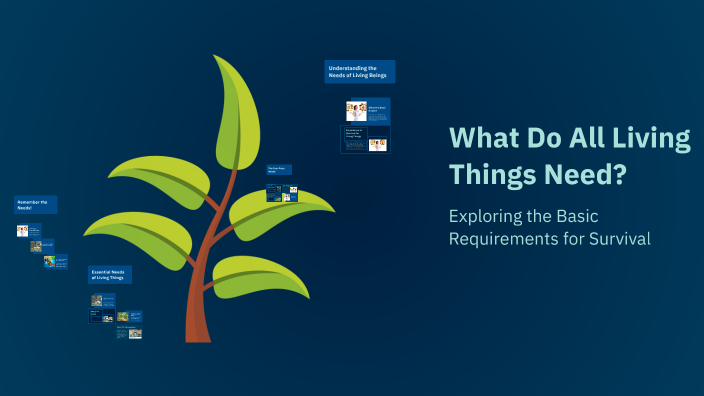 What Do All Living Things Need? by elham oraby on Prezi