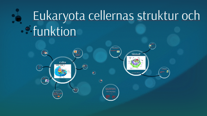 cellens struktur och funktion by Elin Rydberg on Prezi