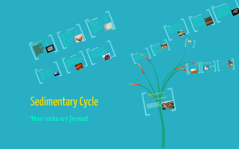 sedimentary cycle by jenny malabarbas on Prezi