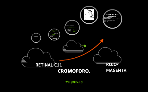 CROMÓFORO- VITAMINA A. by johanna sanchez on Prezi