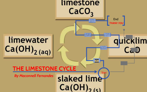 THE LIMESTONE CYCLE by Maconnell Fernandes on Prezi