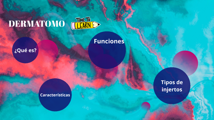 Dermatomo by Tete JN on Prezi
