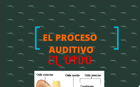 el proceso auditivo by kelly garcia on Prezi