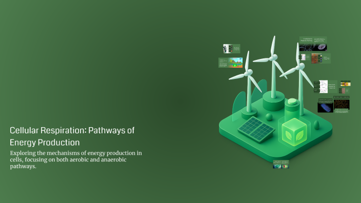 Cellular Respiration: Pathways of Energy Production by Janus Salvador ...
