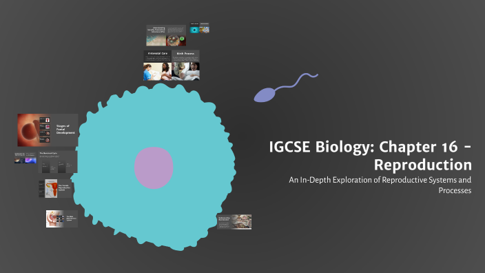 IGCSE Biology: Chapter 16 - Reproduction by Nway Oo Kyal Sin on Prezi