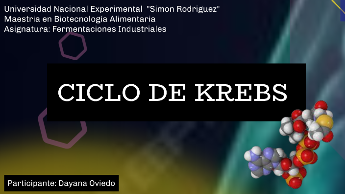CICLO DE KREBS by dayana oviedo on Prezi