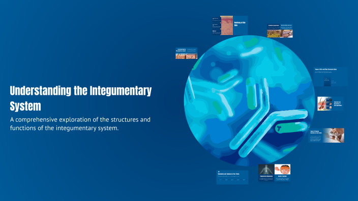Understanding the Integumentary System by LIEZEL CABAG on Prezi