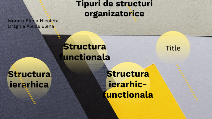 Tipuri de structuri organizatorice by Elena Nicoleta on Prezi