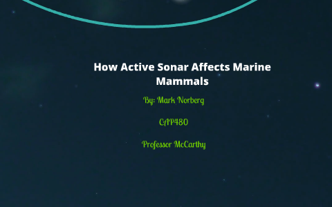 How Active Sonar Affects Marine Mammals by Mark Norberg on Prezi