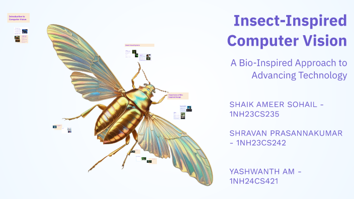 Insect-Inspired Computer Vision by Ameer Shaik on Prezi