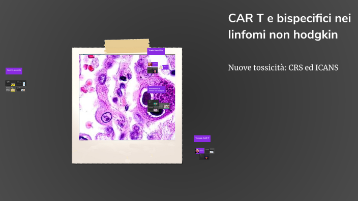CAR T e bispecifici nei linfomi non hodgkin by elena cavalieri on Prezi