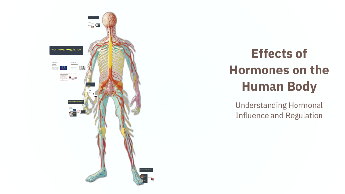 Effects of Hormones on the Human Body by Ismael Orbines on Prezi